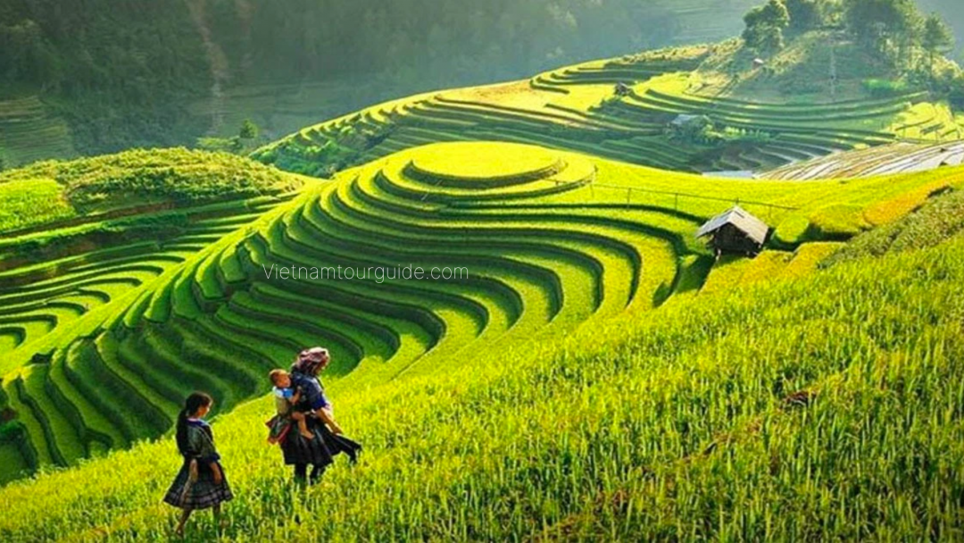 8D7N Ha Noi - Sapa - Ha Long - Da Nang - Hoi An - Vietnam Tour Guide ...